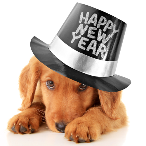 New Year's Resolutions Fun Facts - Part 1 - Goal Achievement Strategies ...